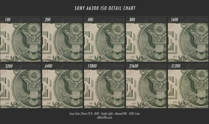 Sony A6300 Review - The Full Frame Killer | Alik Griffin