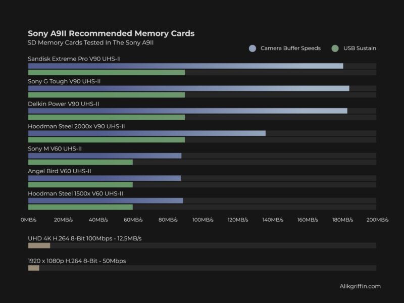 Best Memory Cards Sony A9 II | Alik Griffin