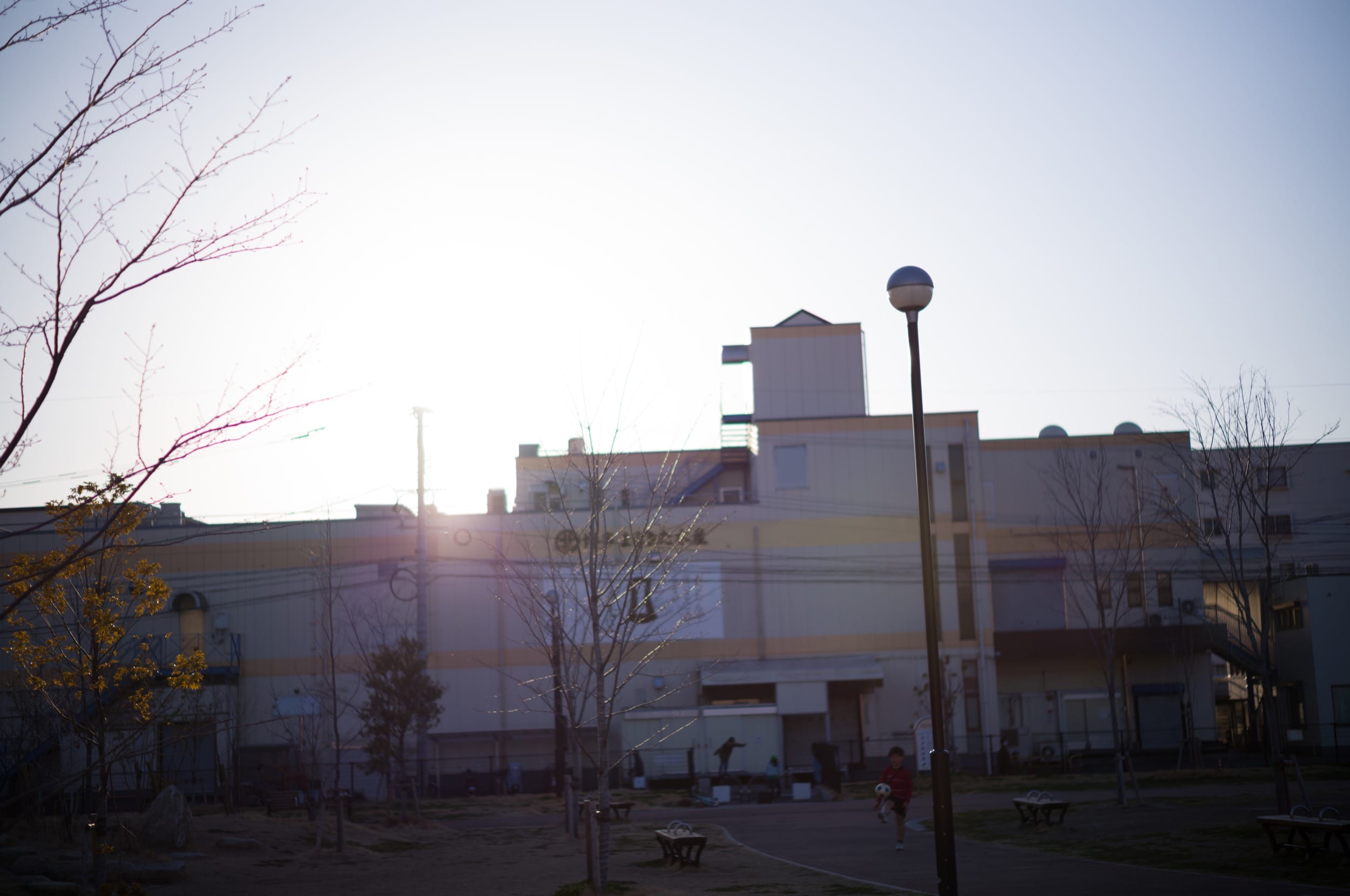 Voigtlander 50mm f1.5 II Review & Sample Photos | Alik Griffin