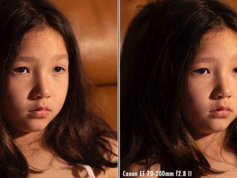 Micro-Contrast, Is It Real? - Samples With Lens Comparisons | Alik Griffin