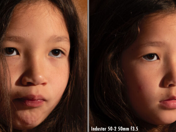 Micro-Contrast, Is It Real? - Samples With Lens Comparisons | Alik Griffin