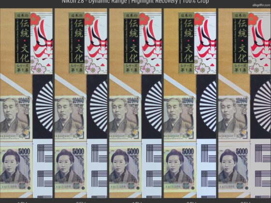 Nikon Z8 ISO & Dynamic Range Comparisons | Alik Griffin
