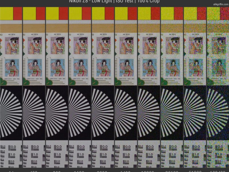 Best Memory Cards Nikon Z8 - Speed & Buffer Tests | Alik Griffin