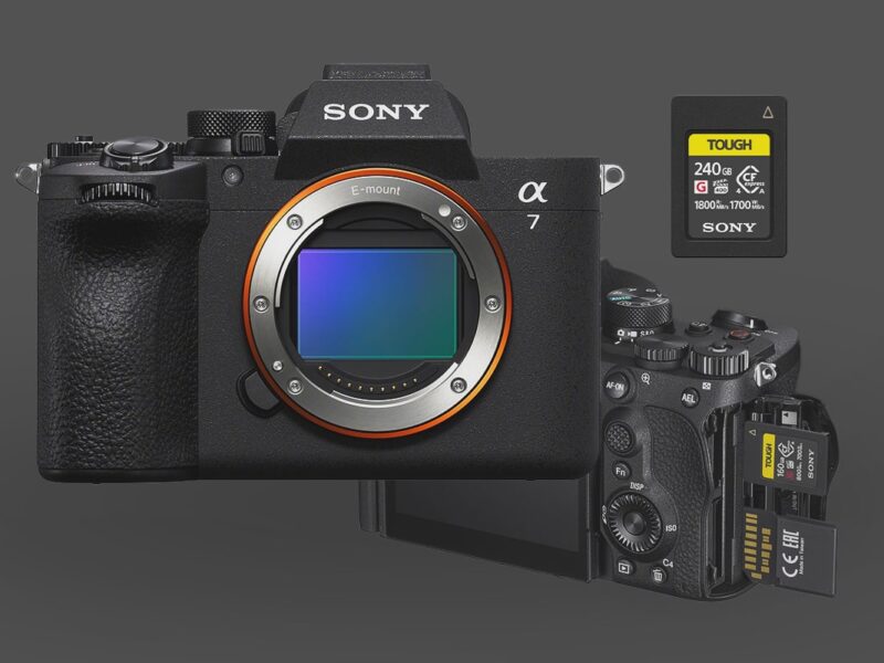 Recommended Memory Cards Canon R6 III | Alik Griffin